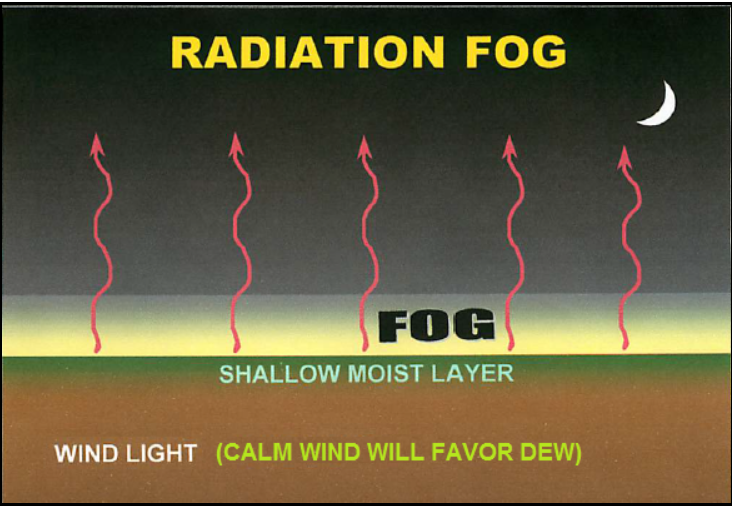 Fog Comes in Many Forms but is Always a Travel Headache | weatherTAP Blog